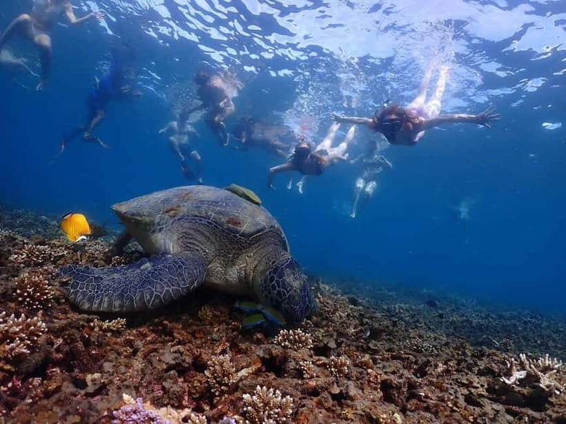 Koh Tao: Underwater Gems, Island Hopping & Snorkel Adventure - Additional Practical Details
