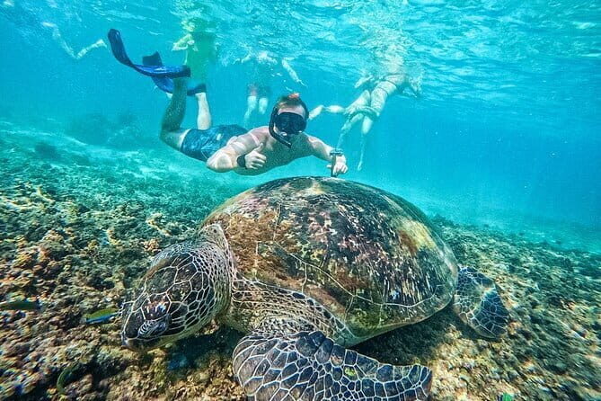 Koh Taos Top Snorkeling Spots by Vintage Wooden Boat - Price and Value: Is It Worth It?