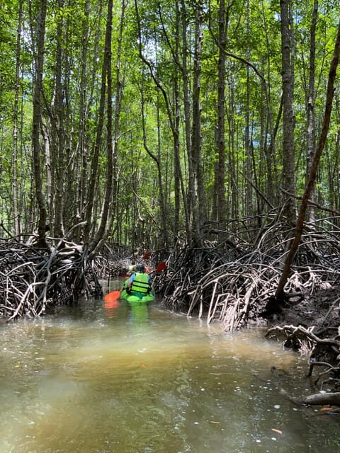 Koh Yao Yai: Klong Hia Mangrove Kayaking - Wildlife and Nature Encounters