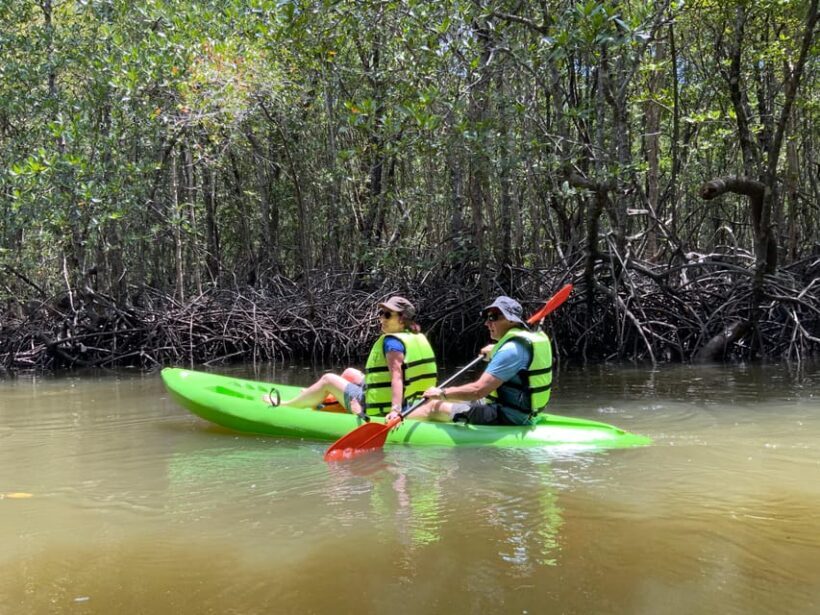 Koh Yao Yai: Klong Hia Mangrove Kayaking - The Lunch and End of Tour