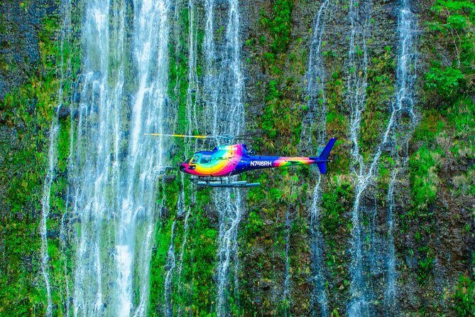 Kohala Coast Volcano Waterfalls-90 Min Heli Tour-Doors Off or On - The Experience in Detail