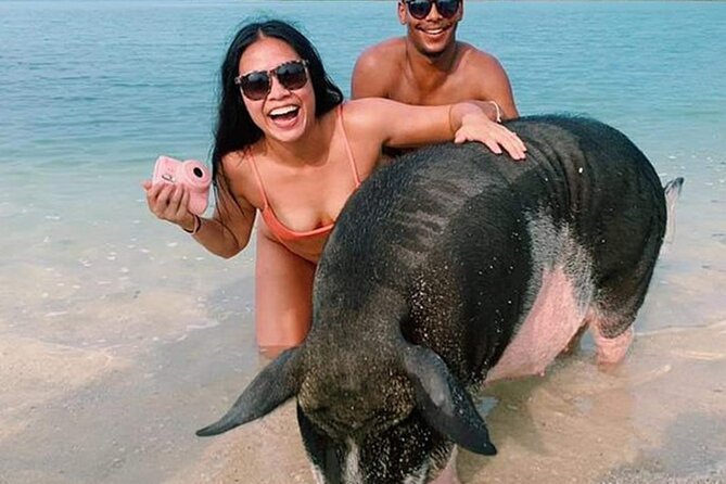 kohsamui.tours - Pig Island Snorkeling Eco Tour by Speed Boat - An Honest Breakdown of the Koh Samui Pig Island Eco Tour