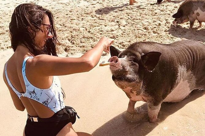 kohsamui.tours - Pig Island Snorkeling Eco Tour by Speed Boat - FAQ
