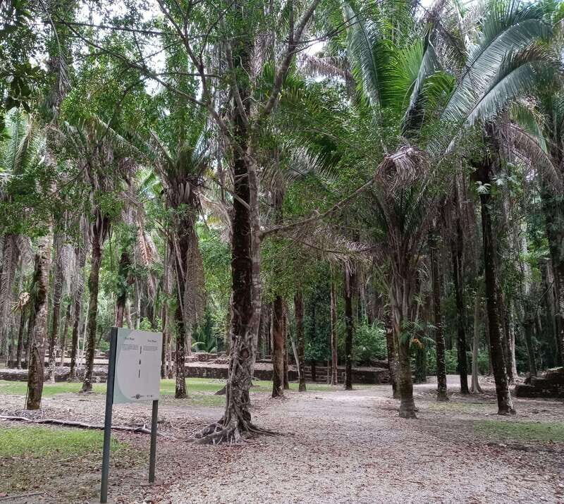 Kohunlich Mayan Ruins: With Professional Native Guides - FAQs