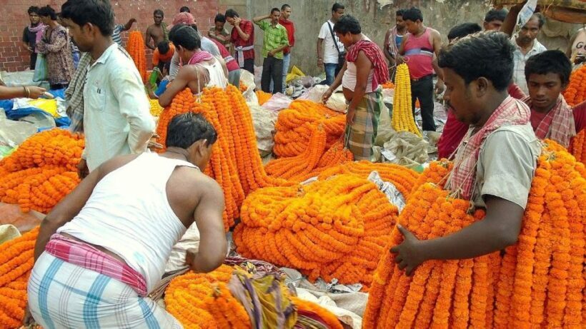 Kolkata: Private Tour of City of Joy with Licensed Guide - Practical Details and Tips