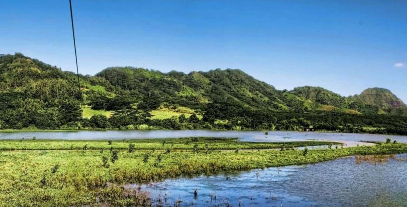 Koloa: Kauais Longest 8-Line Zipline Tour - Frequently Asked Questions