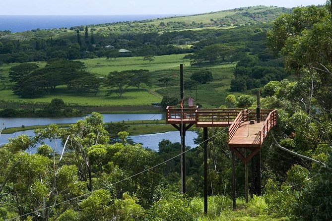 Koloa Zipline in Kauai - The Experience: A Closer Look