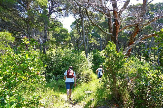 Kolocep Island Hiking and Swimming Full Day Trip From Dubrovnik - Complimentary Amenities and Dining