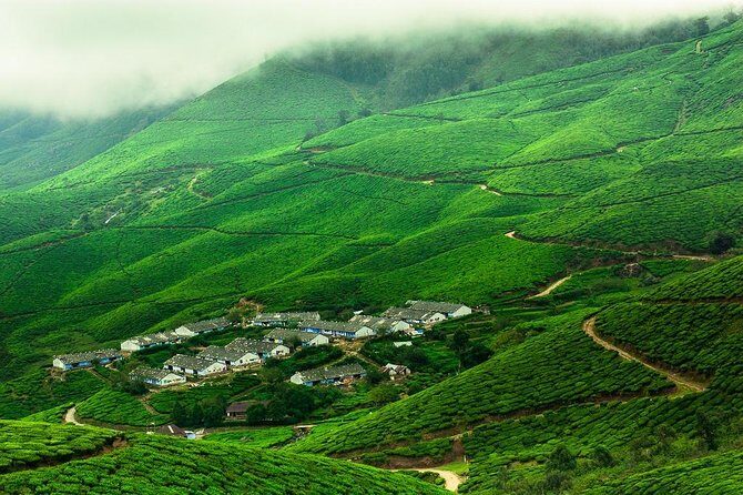 Kolukkumalai Trekking with Night stay in Tent - Key Points
