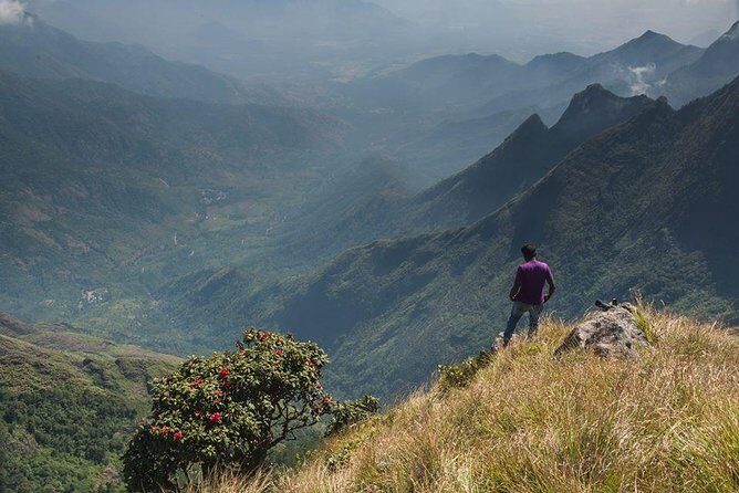 Kolukkumalai Trekking with Night stay in Tent - Introduction: An Unconventional Tea Tour with a View