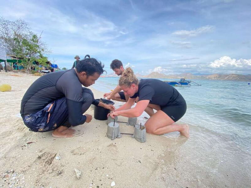 Komodo Conservation Tour with unique experience - Who Is This Tour Best For?