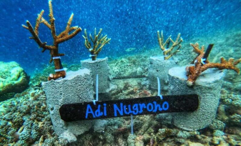 Komodo Conservation Tour with unique experience - FAQ