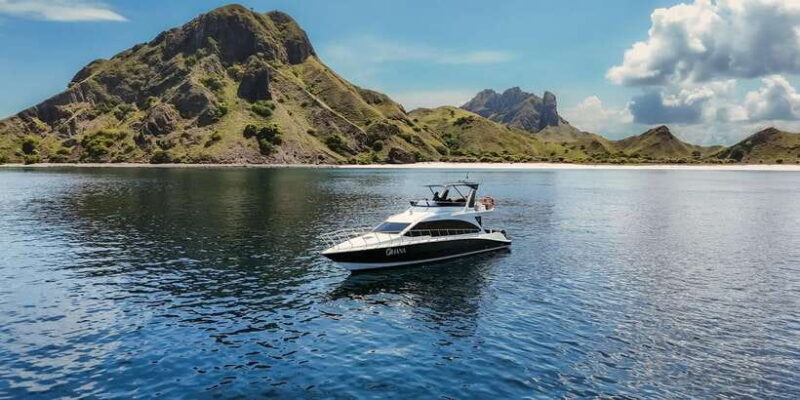 Komodo Full Day Speedboat Tour from Labuan Bajo - Key Points
