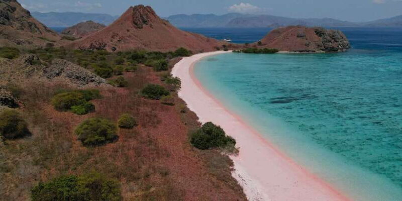 Komodo Full Day Speedboat Tour from Labuan Bajo - The Realities of the Experience