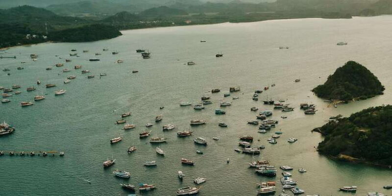 Komodo Full Day Speedboat Tour from Labuan Bajo - Final Thoughts: Is This Tour Worth It?
