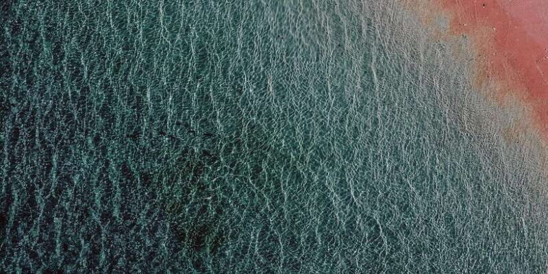 Komodo Full Day Speedboat Tour from Labuan Bajo - FAQs