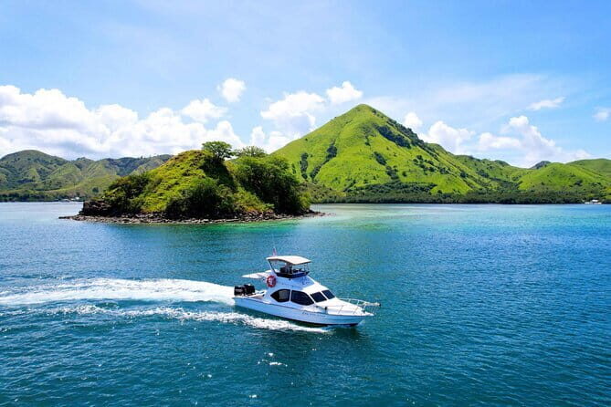 Komodo Island Adventure from Bali (Day Trip) - An In-depth Look at What You Can Expect