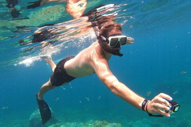 Komodo Island Adventure from Bali (Day Trip) - Authentic Opinions from Past Participants