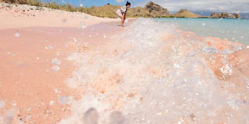 Komodo Island: Komodo Dragons & Islands Day Tour - Who This Tour Is Best For