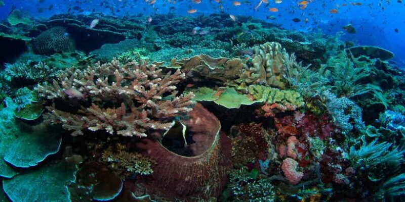 Komodo Island: Komodo Dragons & Islands Day Tour - Practical Tips for Visitors