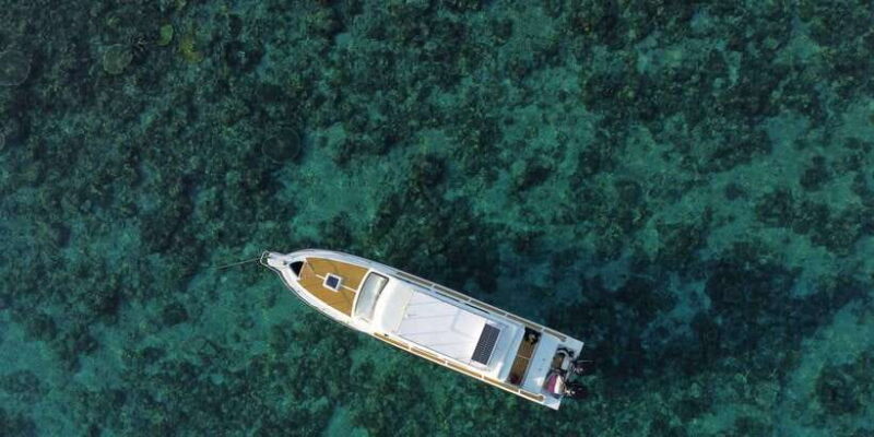 Komodo Island: Private Day Tour by Speedboat - The Itinerary Breakdown