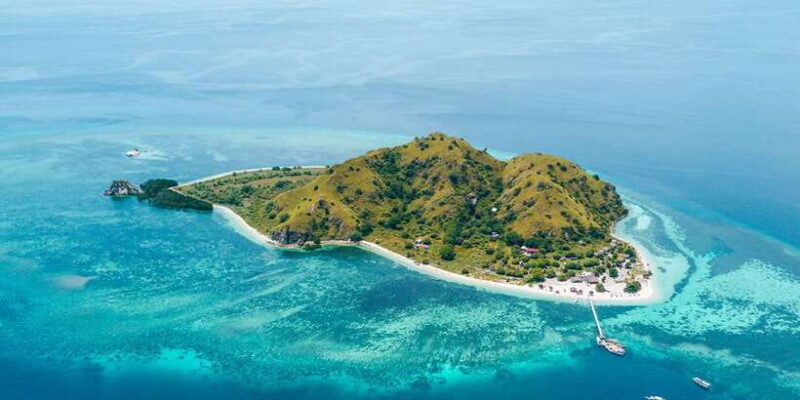 Komodo Island: Private Day Tour by Speedboat - What’s Included and What to Budget for