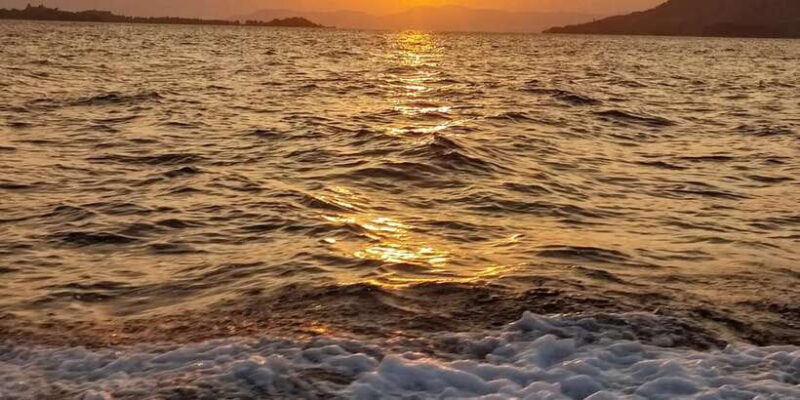 Komodo Island Tour 2Days 1Night - Komodo Island Tour 2Days 1Night Review