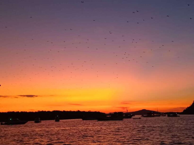 Komodo One Day Tour With Speed Boat - Introduction