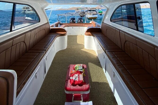 Komodo & Snorkeling Adventure by Private Speedboat - Who Should Consider This Tour?