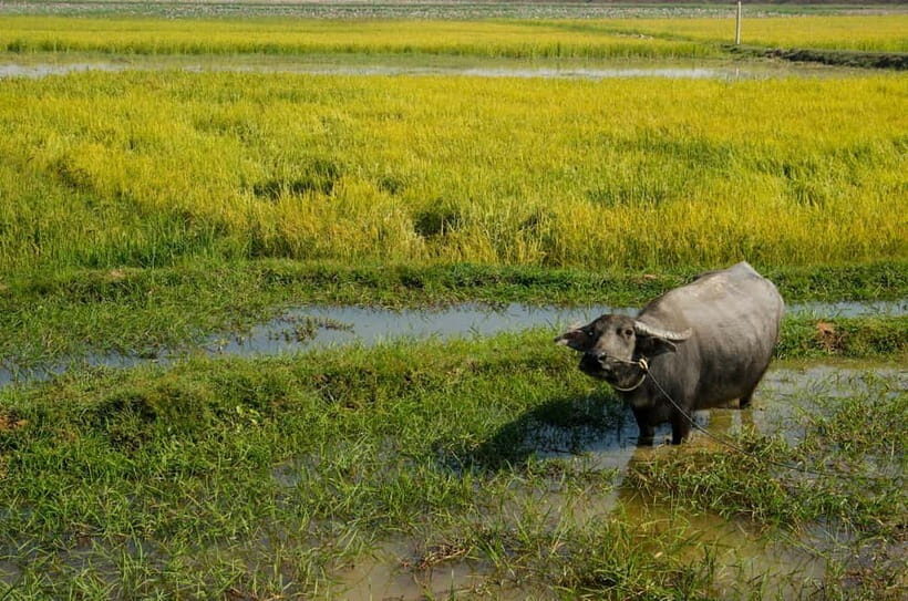 Kompong Kleang Village and Tonle Sab Lake - Key Points