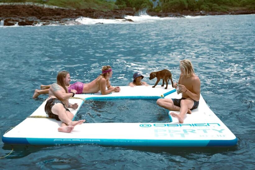 Kona Afternoon Dolphin Watch & Snorkel on the Big Isand - Key Points