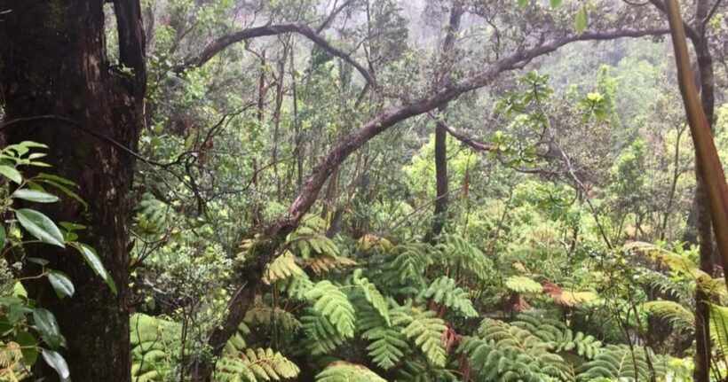 Kona: Big Island Big Volcano Adventure - An In-Depth Look at the Tour