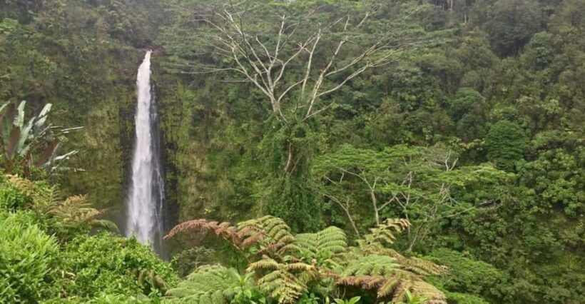 Kona: Big Island Big Volcano Adventure - The Sum Up