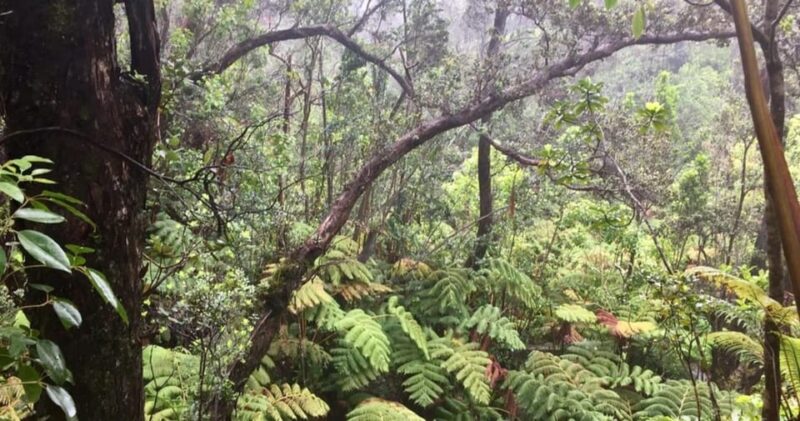 Kona: Big Island Big Volcano Adventure - The Value of This Tour