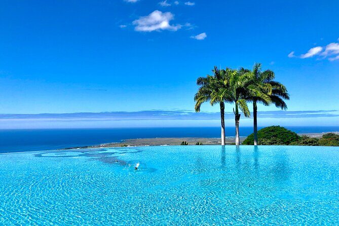 Kona Cloud Forest and Coffee Tour with Sea Turtle Beach Visit - The Perfect Mix: Local Flavors and Scenic Views
