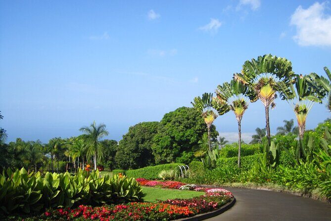 Kona Cloud Forest and Coffee Tour with Sea Turtle Beach Visit - Practical Details & Experience Quality