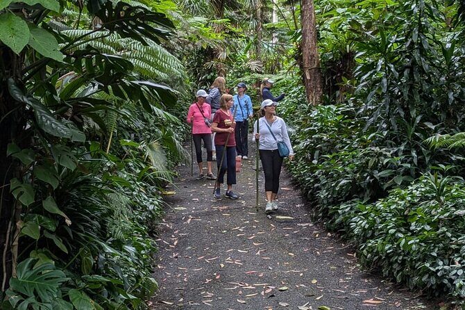 Kona Cloud Forest and Coffee Tour with Sea Turtle Beach Visit - Authenticity and Value