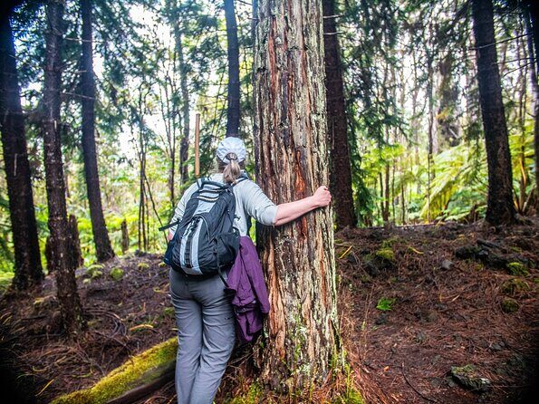 Kona Cloud Forest Sanctuary Pantropical Tour (1.5 hrs) - Exploring the Kona Cloud Forest Sanctuary Pantropical Tour: A Detailed Review