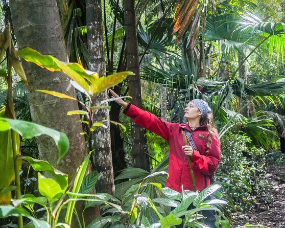 Kona Cloud Forest Sanctuary Pantropical Tour (1.5 hrs) - Key Points