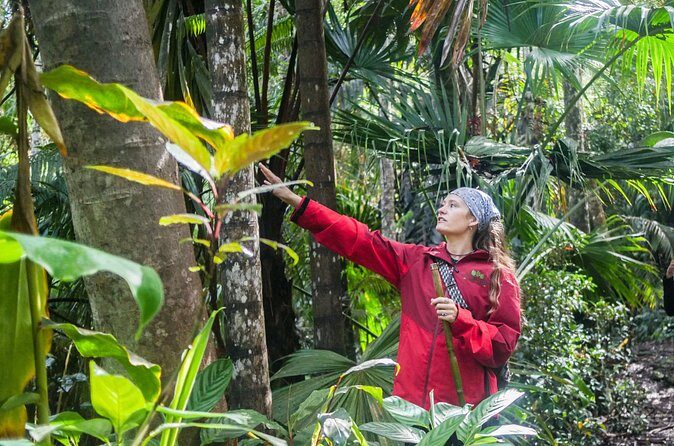Kona Cloud Forest Sanctuary Pantropical Tour (1.5 hrs) - FAQ