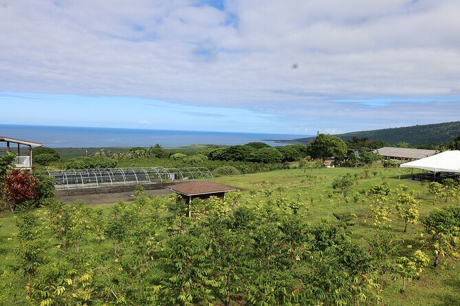 Kona Coffee Farm Tour from Tree to Tasting Room - The Sum Up: Why This Tour Is a Great Value