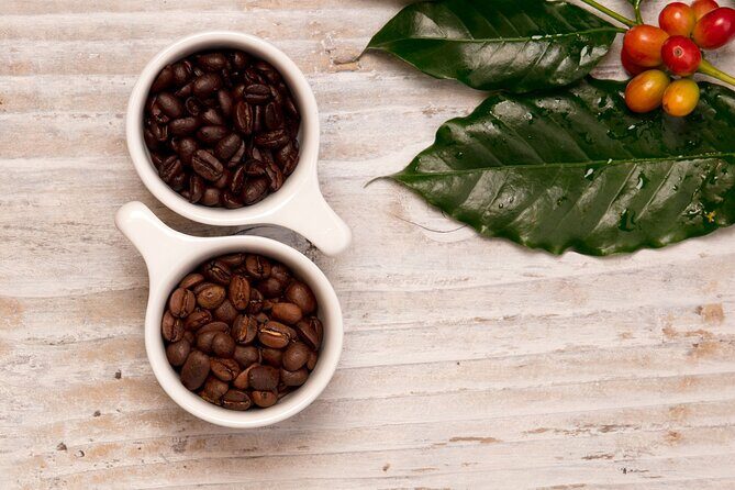 Kona Coffee Tasting: A Farm to Cup Experience - The Sum Up: A Genuine Coffee Journey