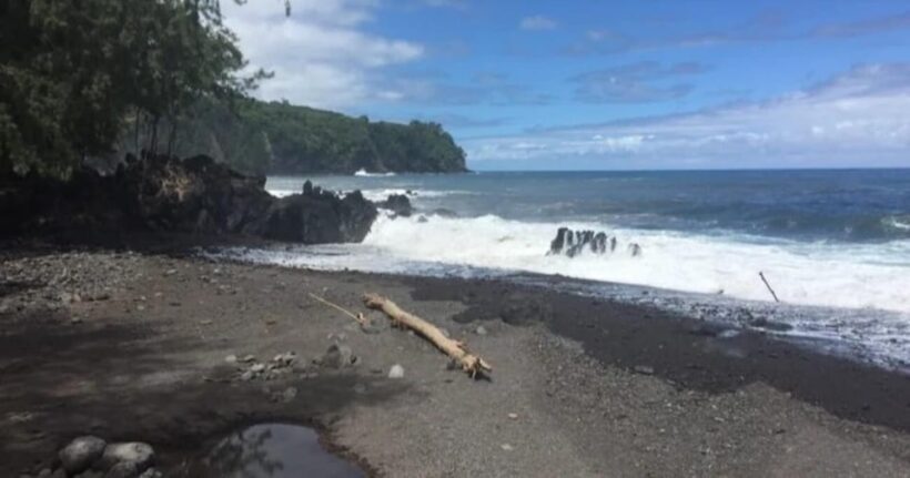 Kona: Heavenly Hamakua Guided Day Trip with Hotel Pickup - What Travelers Say