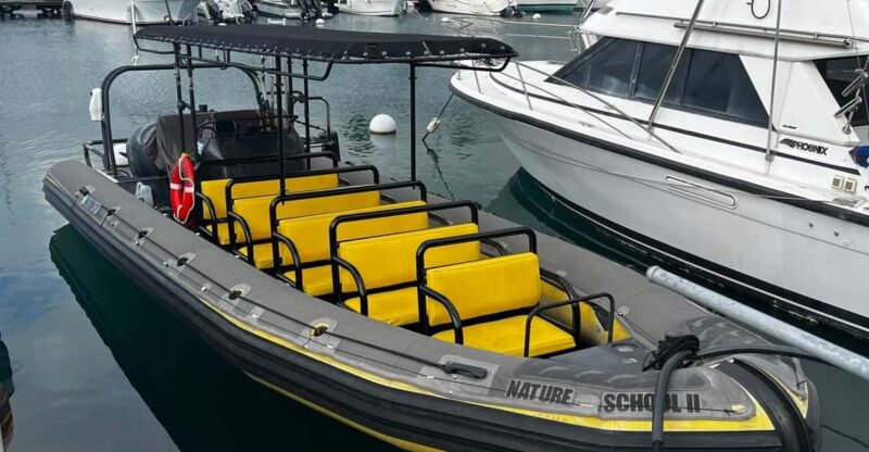 Kona Hi, Sunset Manta Ray Tour 10 passengers maximum - What Makes This Tour Stand Out?