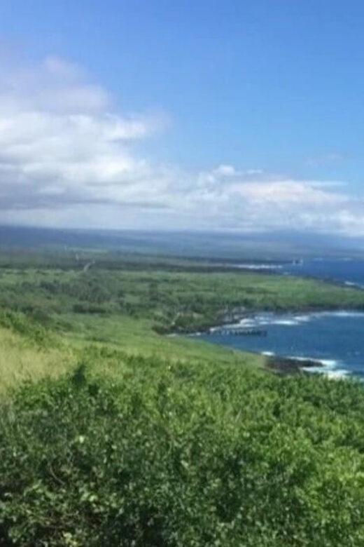 Kona: Kilauea Summit to Shore - Who Will Love This Tour?