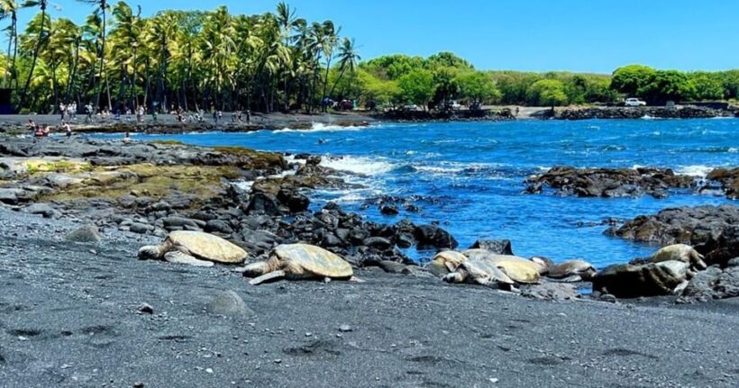 Kona: Kilauea Summit to Shore - FAQ