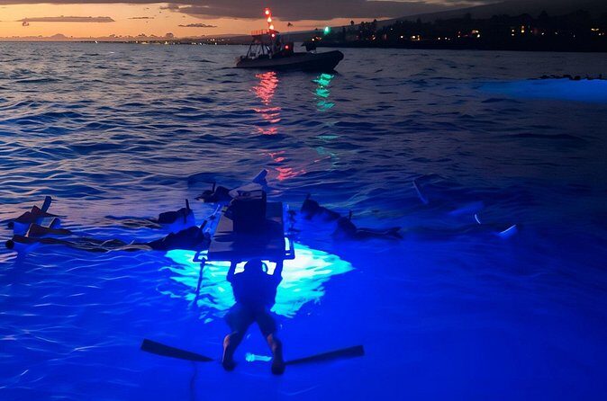 Kona Manta Night Snorkel Adventure: Swim with Majestic Rays - The Sum Up