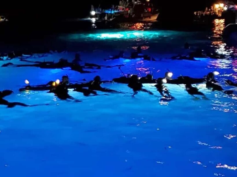 Kona: Manta Ray Night Snorkel Adventure - An Introduction to the Tour