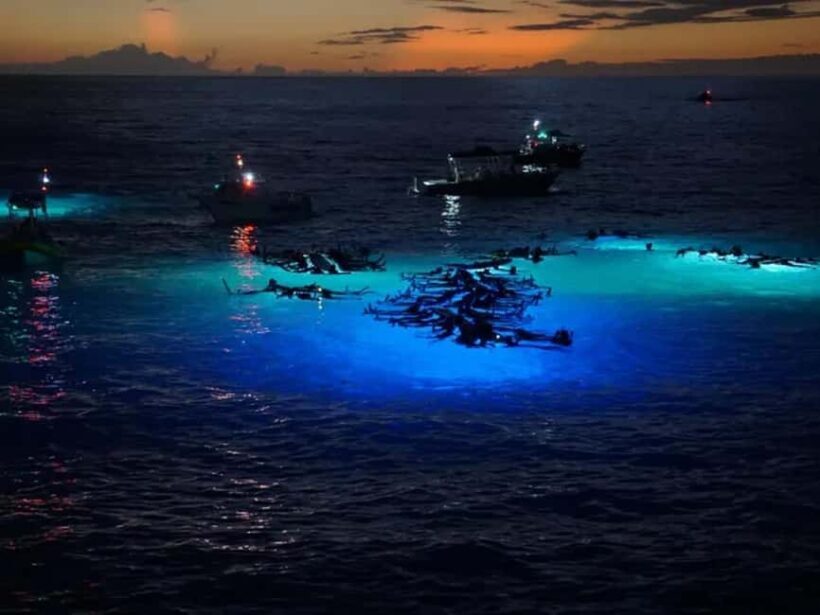 Kona: Manta Ray Night Snorkel Adventure - Practical Details and Tips