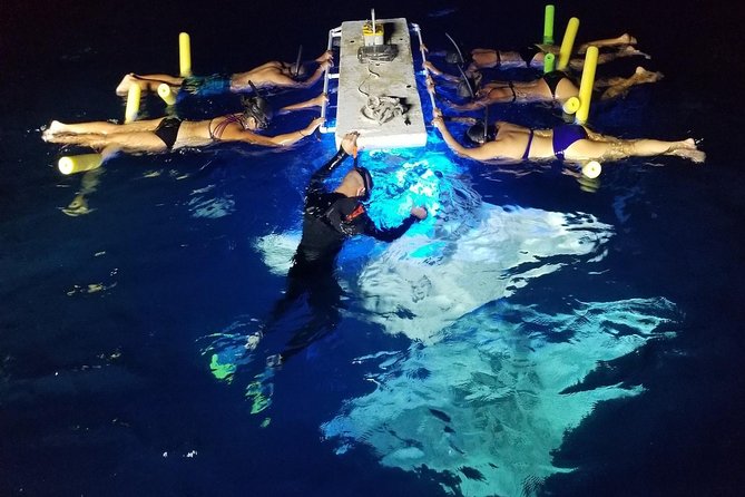 KONA Manta Ray Night Snorkel - FREE re-ride if no Sightings - What Makes This Tour Special?